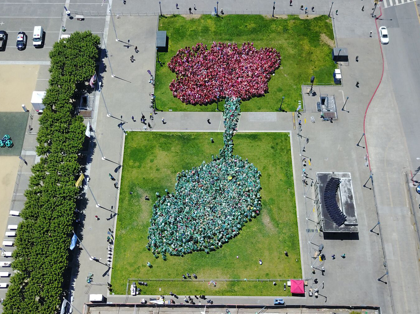 We broke the Guinness Book of World Records for the largest, human ...